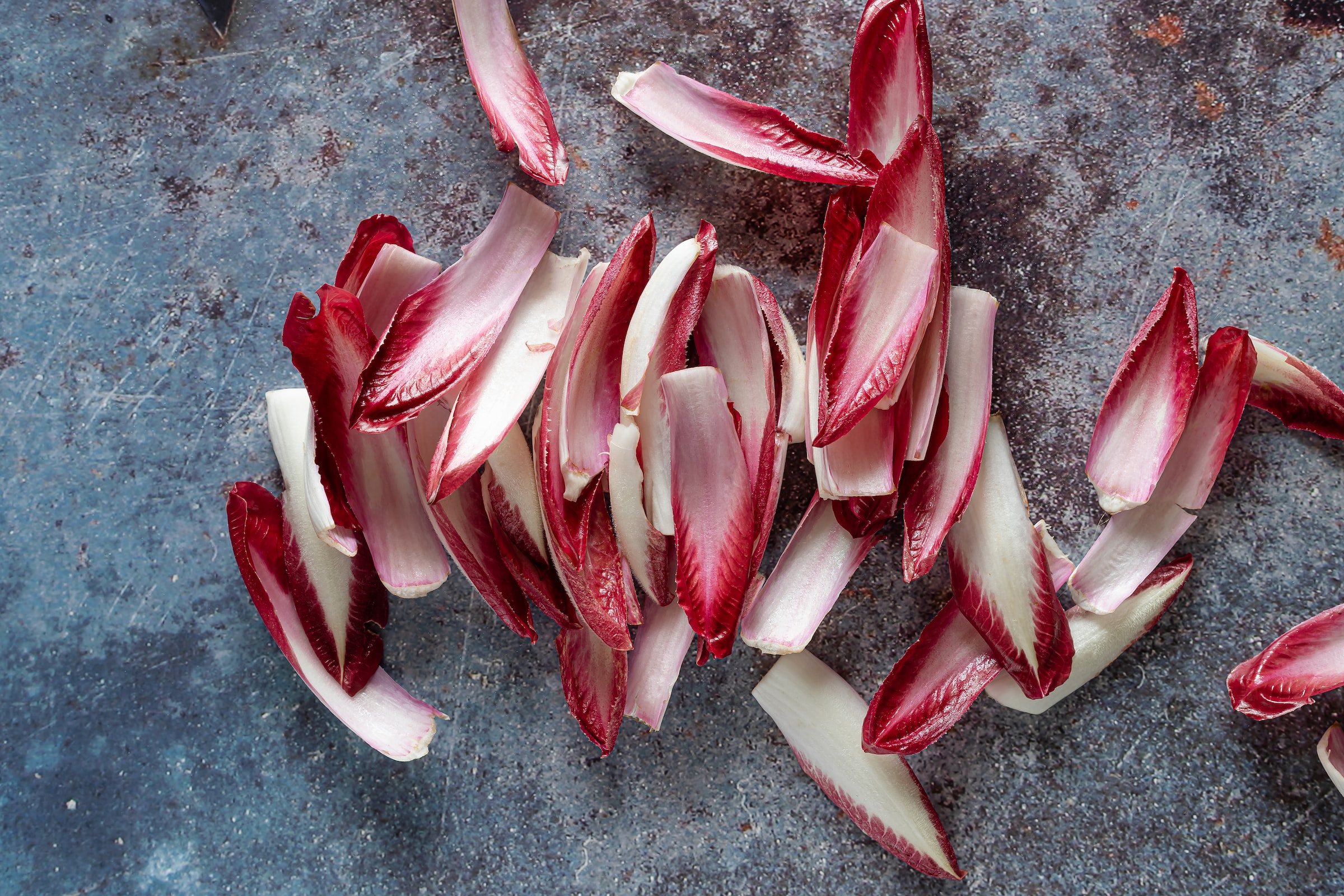 How to Grow Chicory at Home - EPHAS